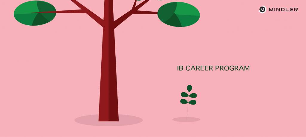 IB Diploma Programme & Career Programmes: An Overview